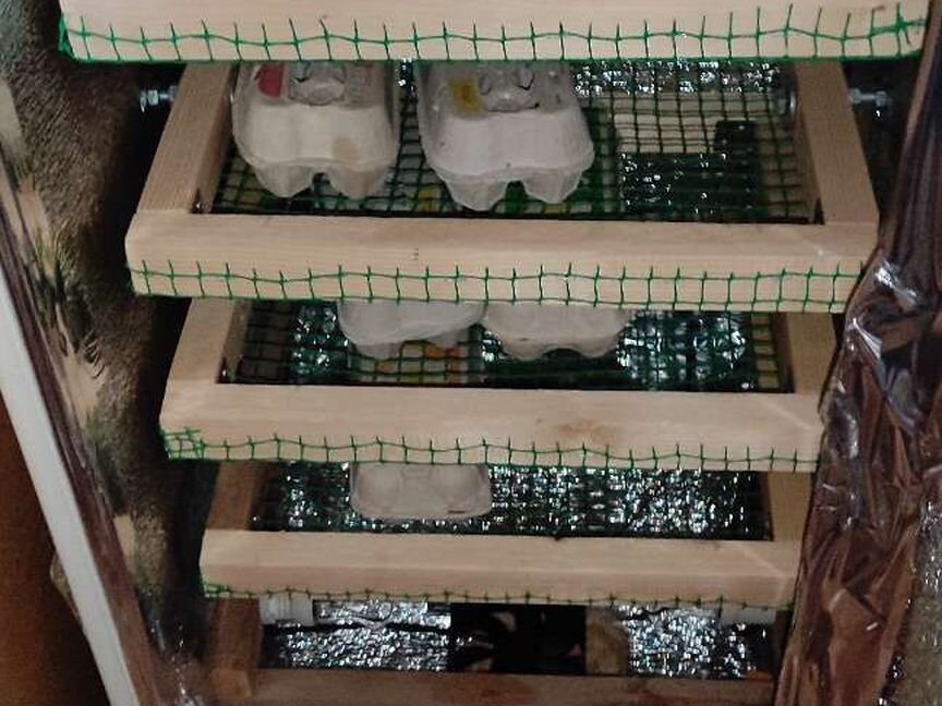 Инкубатор самодельный