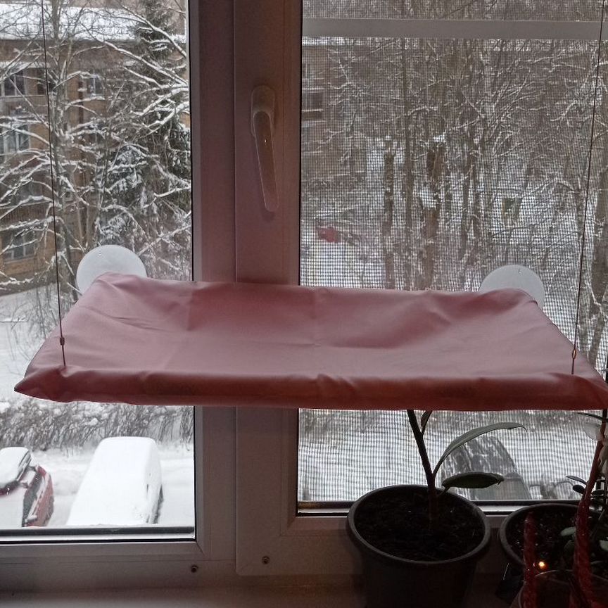 Лежанка для кошек подвесная