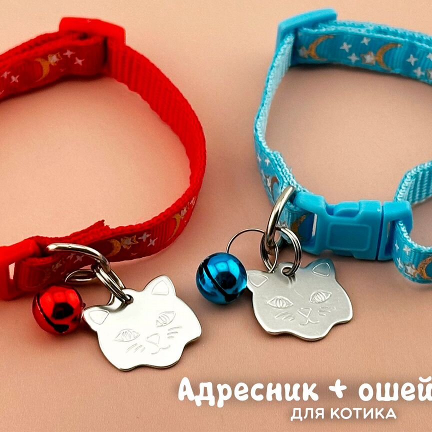Адресник ошейник для кошки