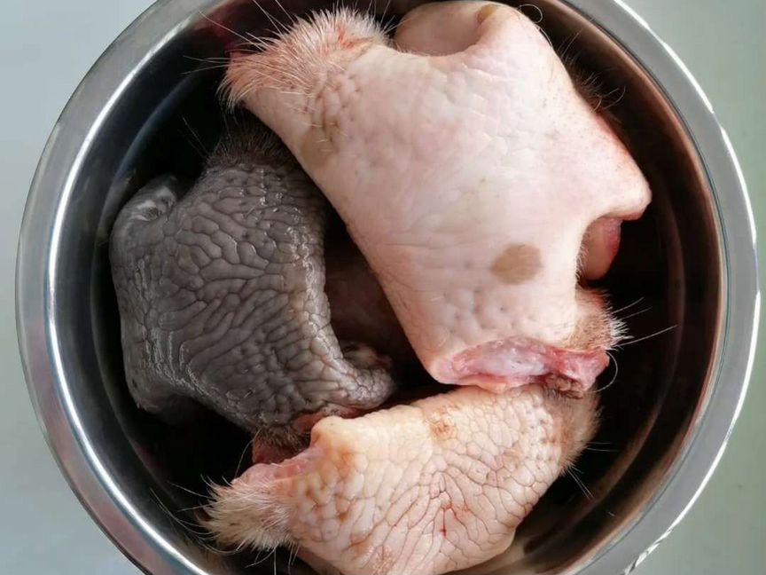 Говяжий нос, мясо для собак, корм для собак