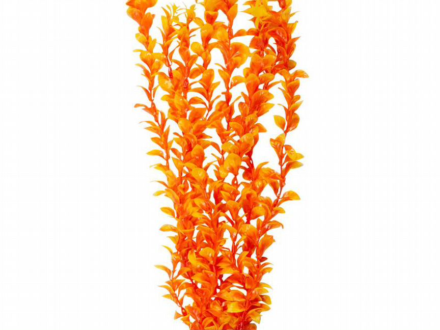 Растение "Людвигия" ярко-оранжевая, 400мм, Laguna