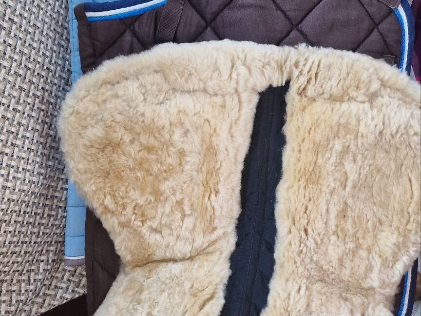 Амуниция для лошади