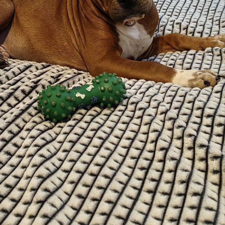 Мальчик, аст 4 мес