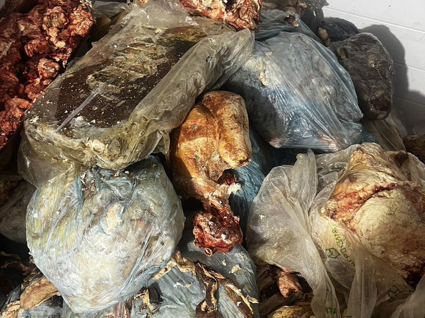 Отходы для собак