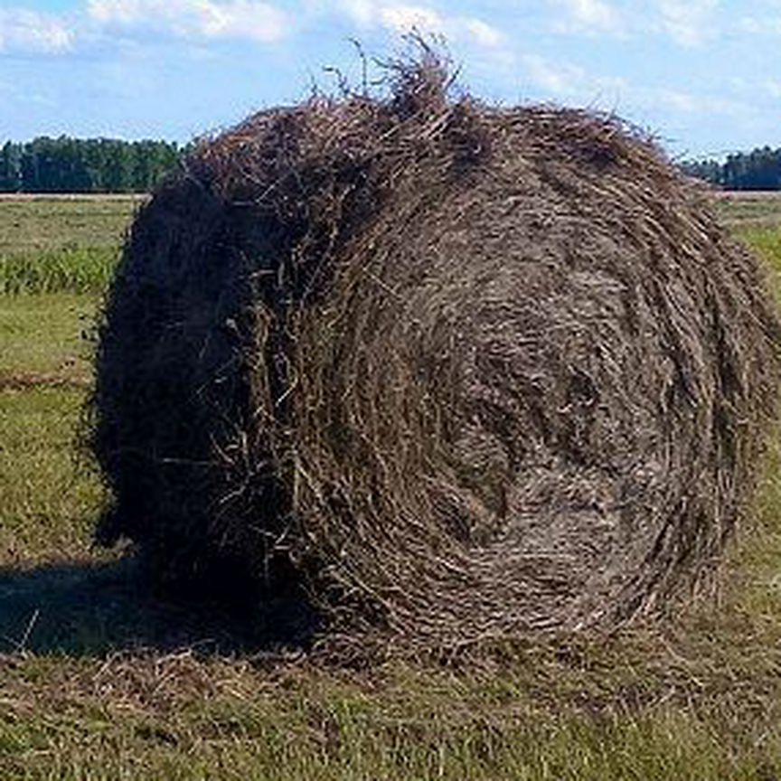 Сено в рулонах