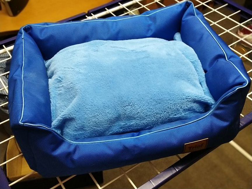 Лежанка, щётка с совком