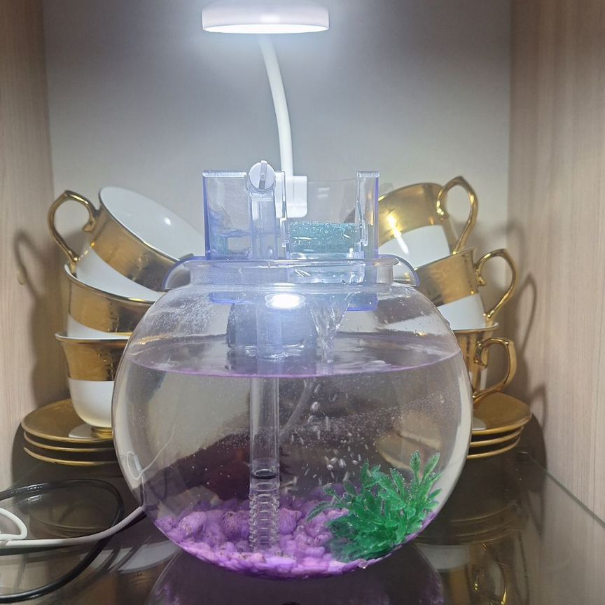 Аквариум с рыбкой