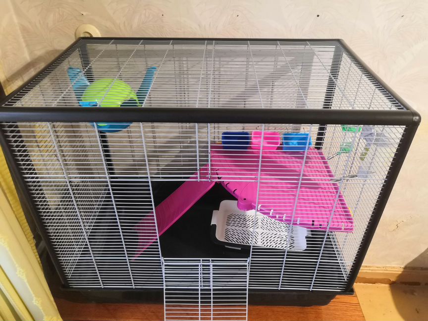 Клетка для крыс грызунов Savic Zeno 2