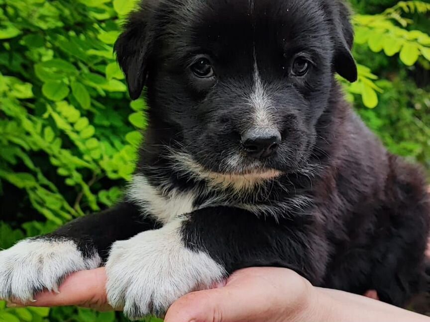 Я буду большой и красивой