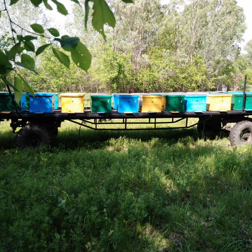 Прицеп пчеловоз