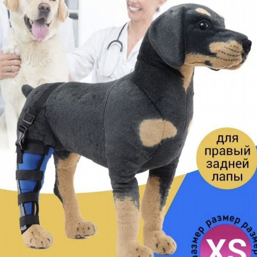 Бандаж для собак
