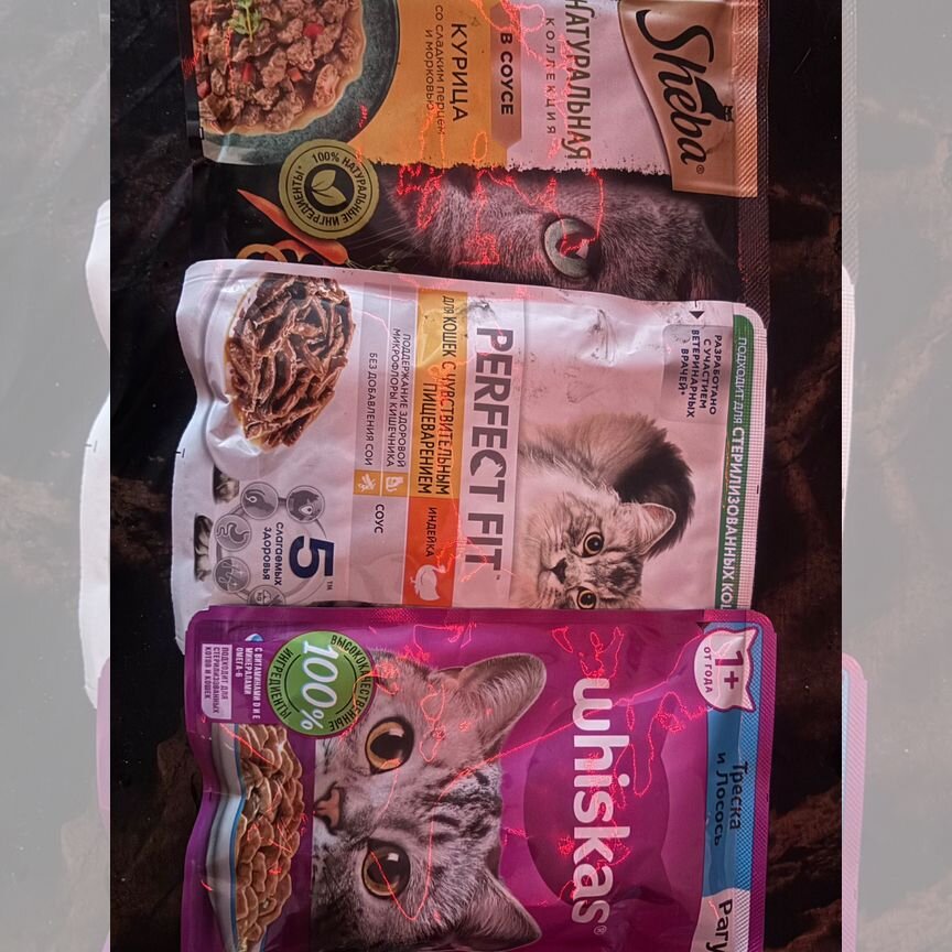 Влажный корм для кошек