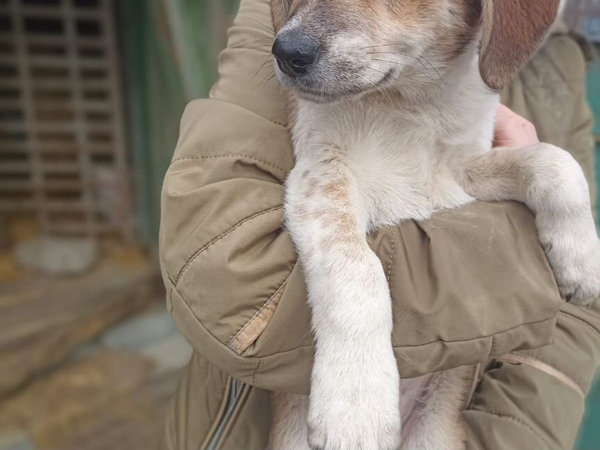 Девочка 3 очень сильно хочет быть любимой