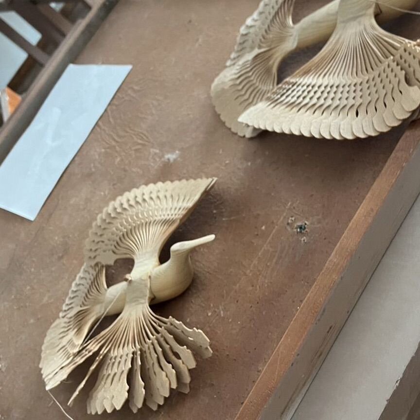 Декоративные птицы