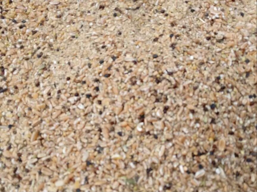 Корма для животных