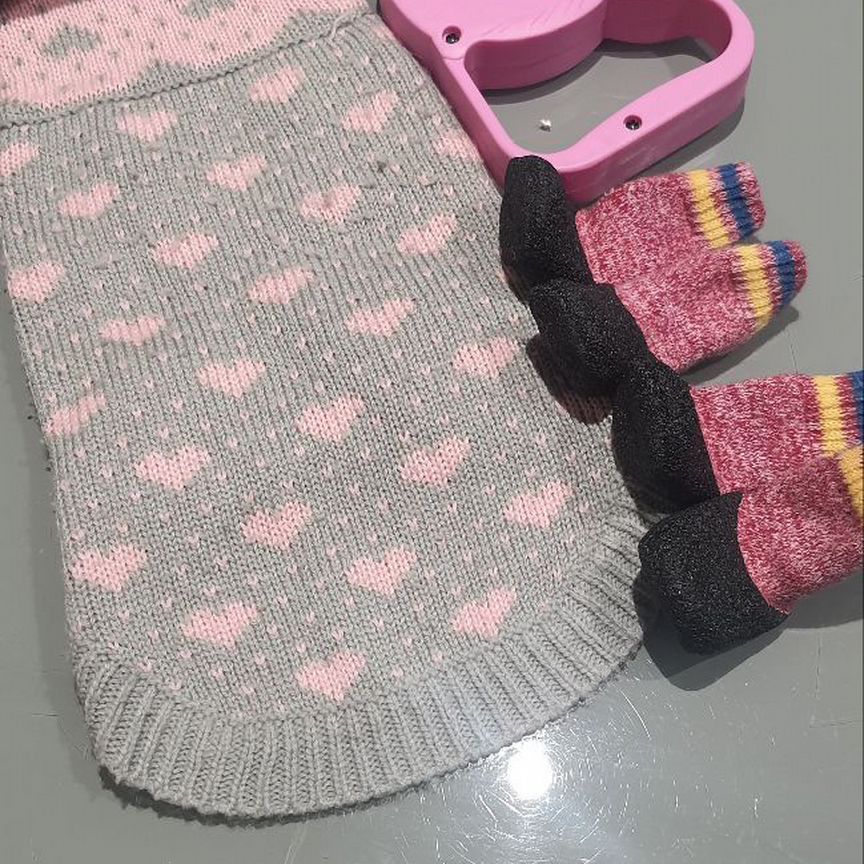 Вещи для миниатюрной собачки