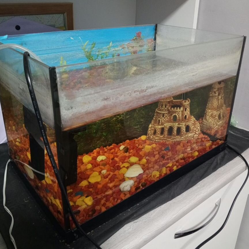 Аквариум