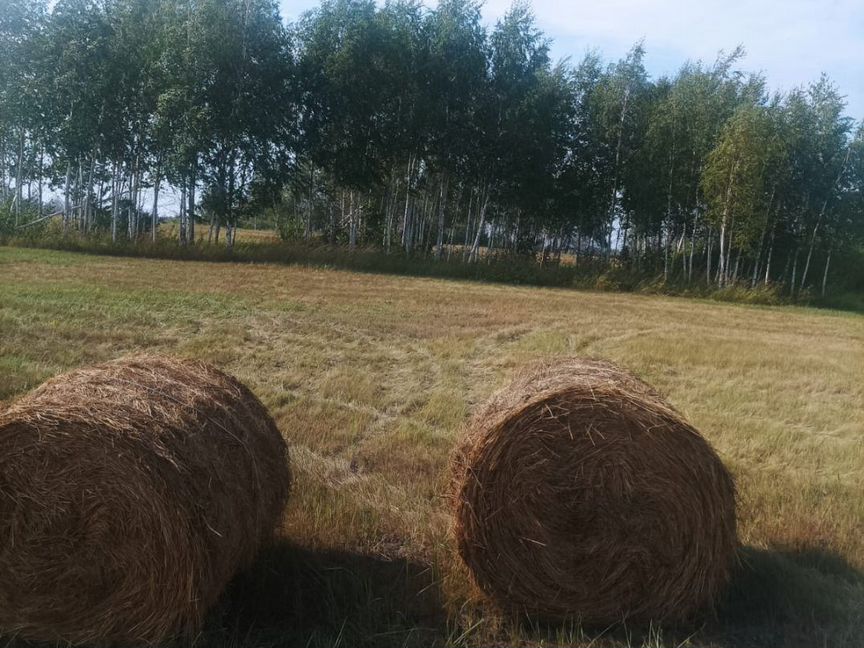 Сено в рулонах