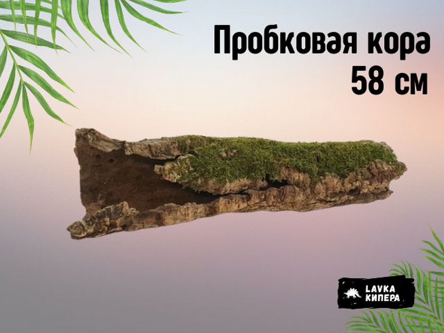Укрытие кора пробковая для террариума №20