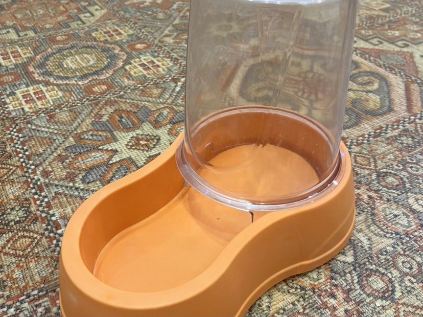 Миска для животных