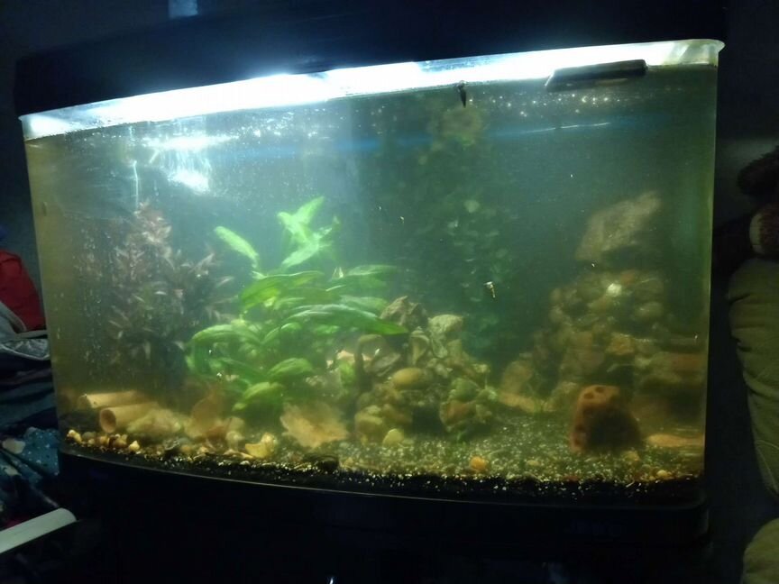 Аквариум с тумбой 105 л