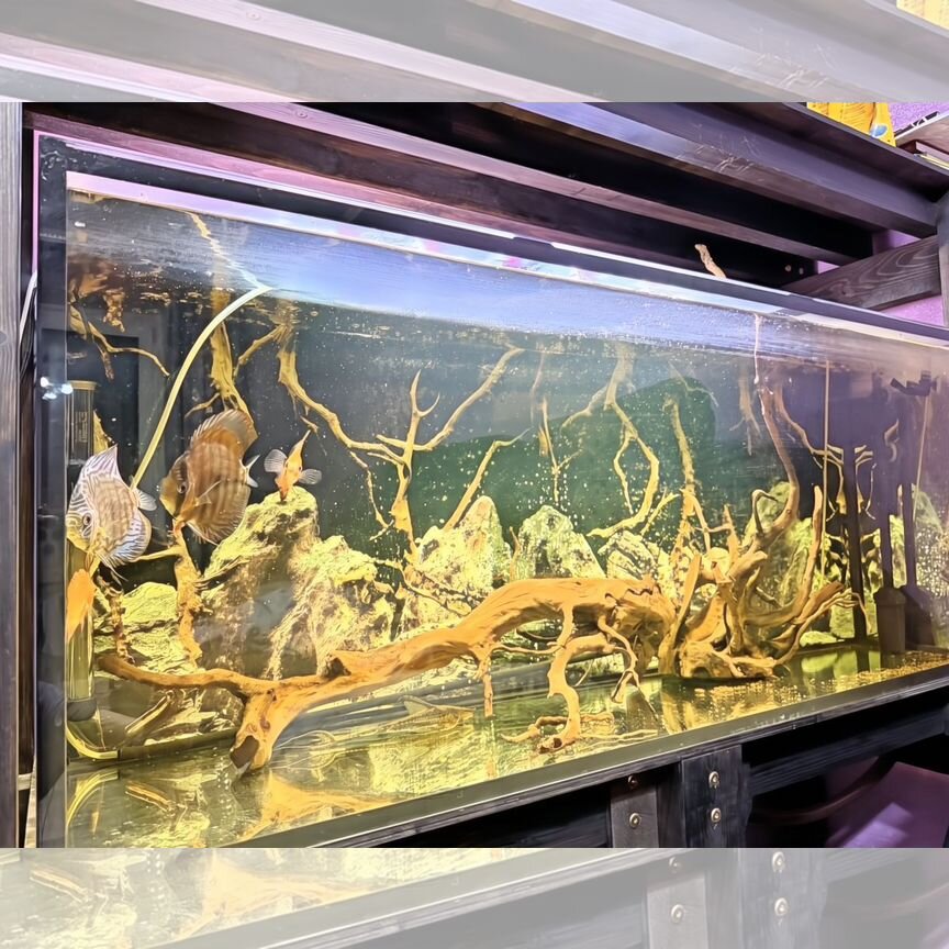 Аквариум с тумбой 250л