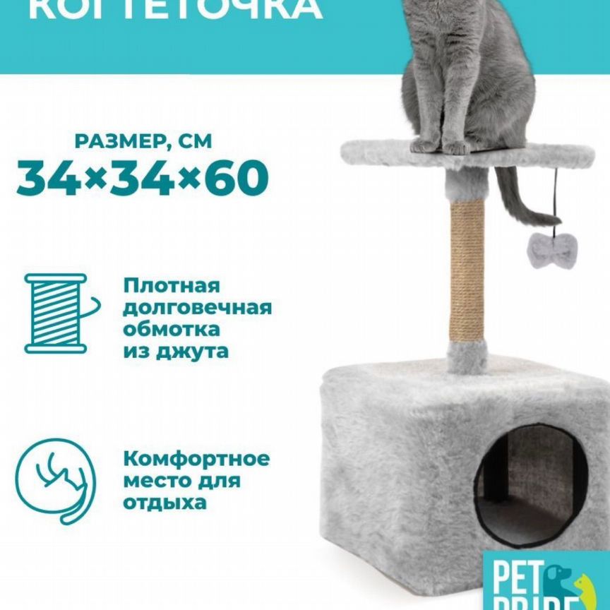 Когтеточка