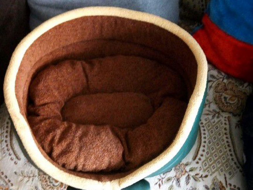 Кроватка для котенка