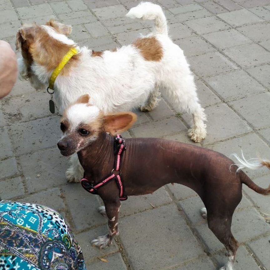 Ищем жениха