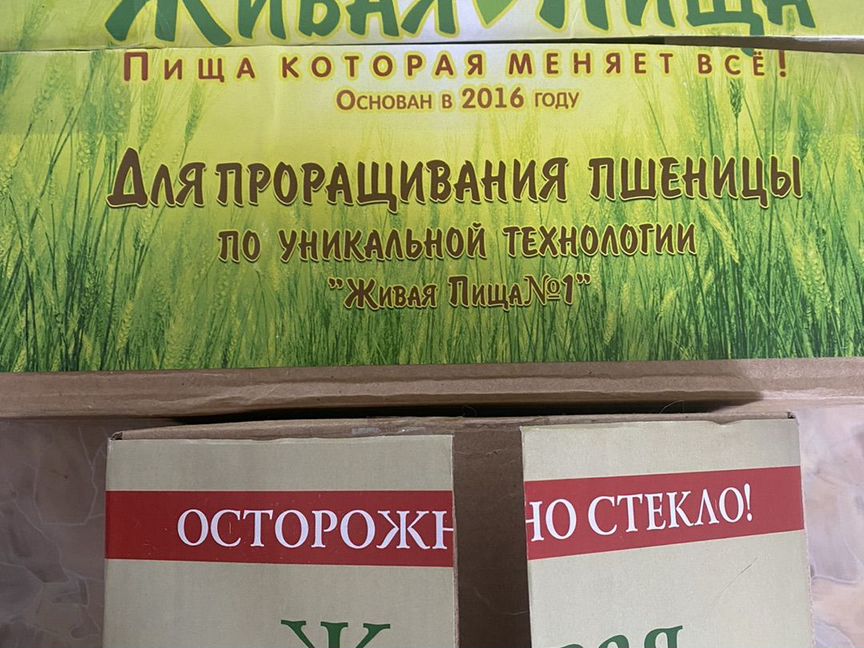 Набор для проращивания пшеницы.Живая пища