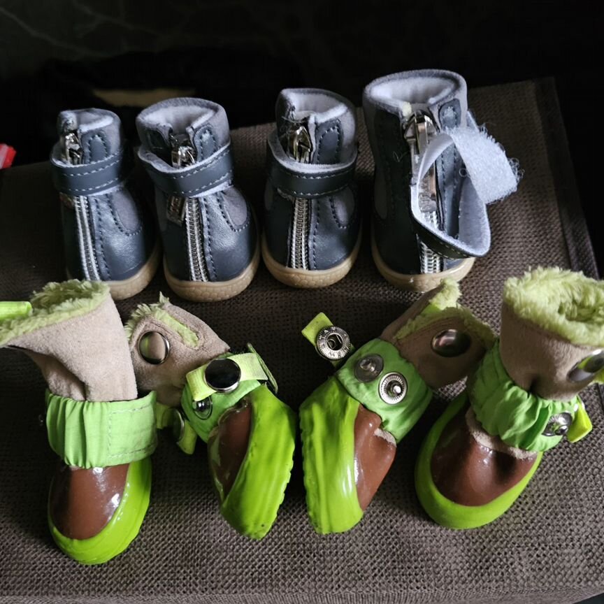 Ботинки для маленьких собак