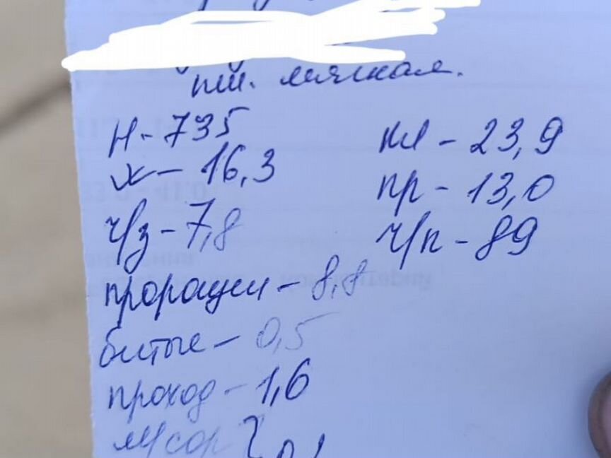 Пшеница мягкая