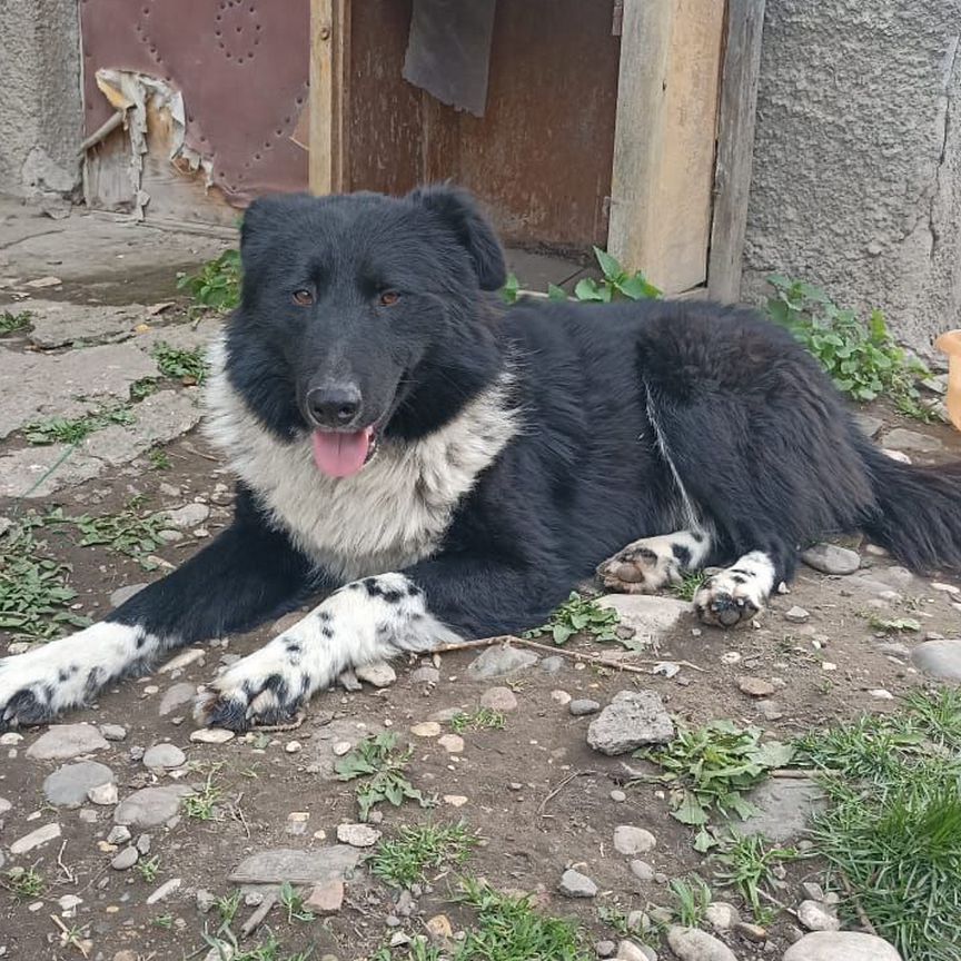 Мальчик 1 год очень воспитанный и благородный