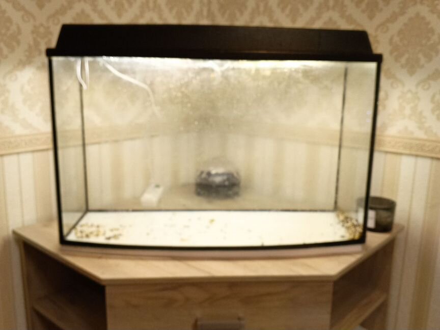 Аквариум террариум