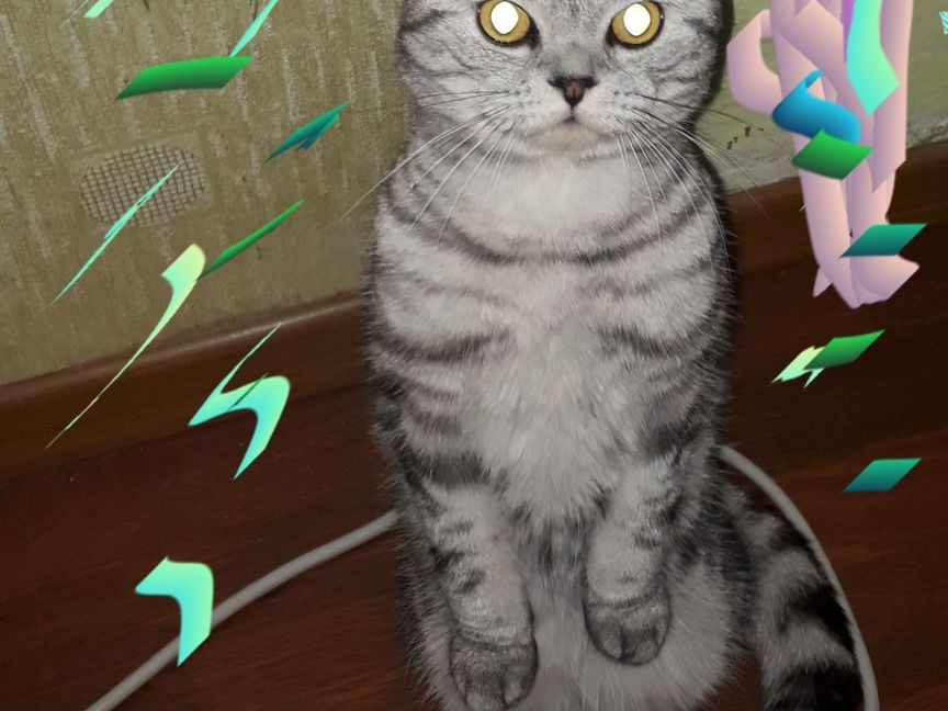 Вязка