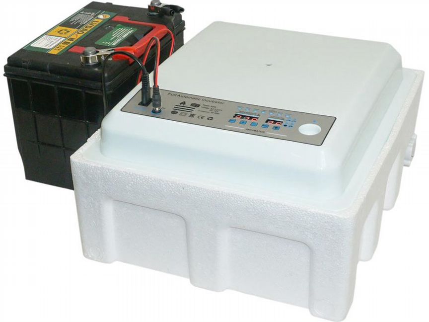 Инкубатор для яиц автоматический