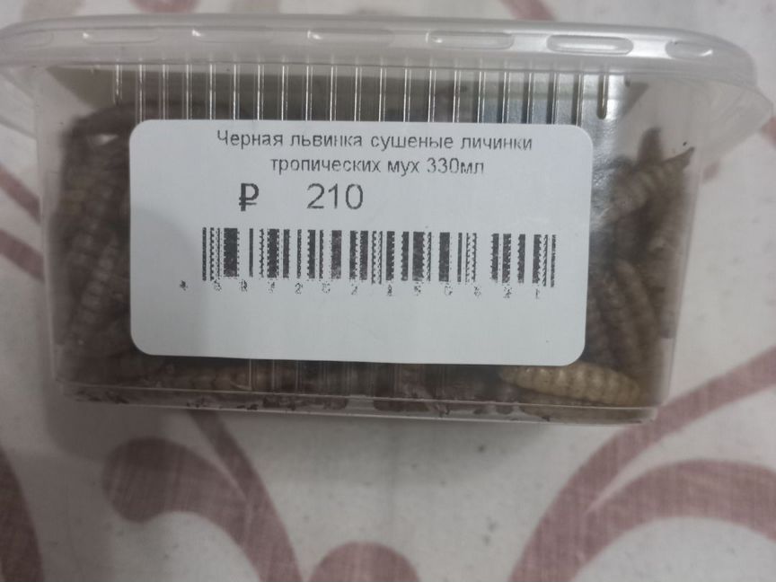 Чёрная львинка