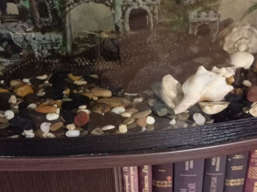 Аквариум с тумбой 120 л