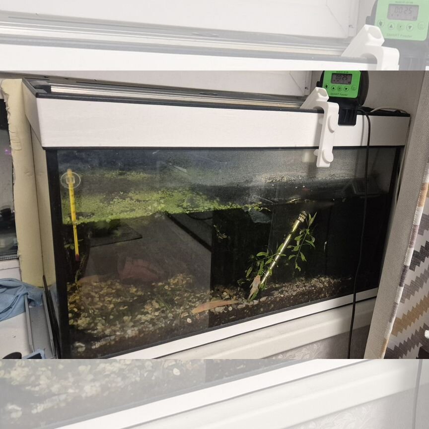 Аквариум зелаква Карон 80