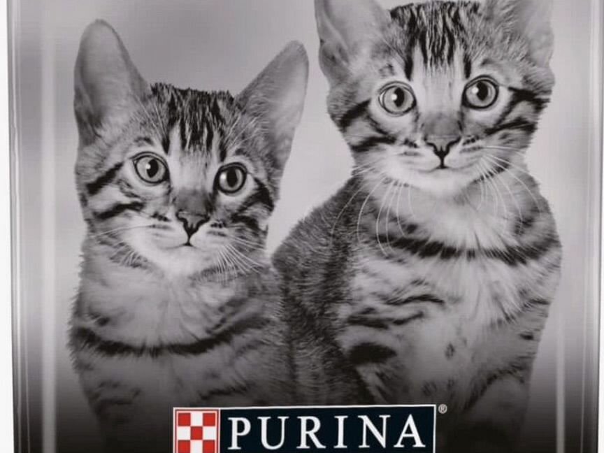 Скхой корм ProPlan для котят с индейкой 1,5 кг