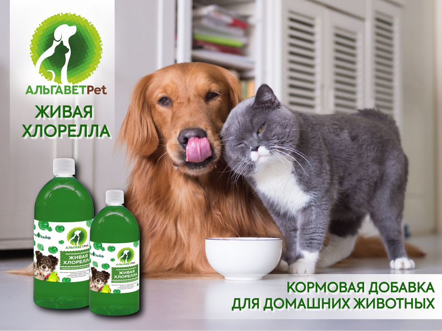Живая хлорелла для животных Альгавет Pet 1,0 л