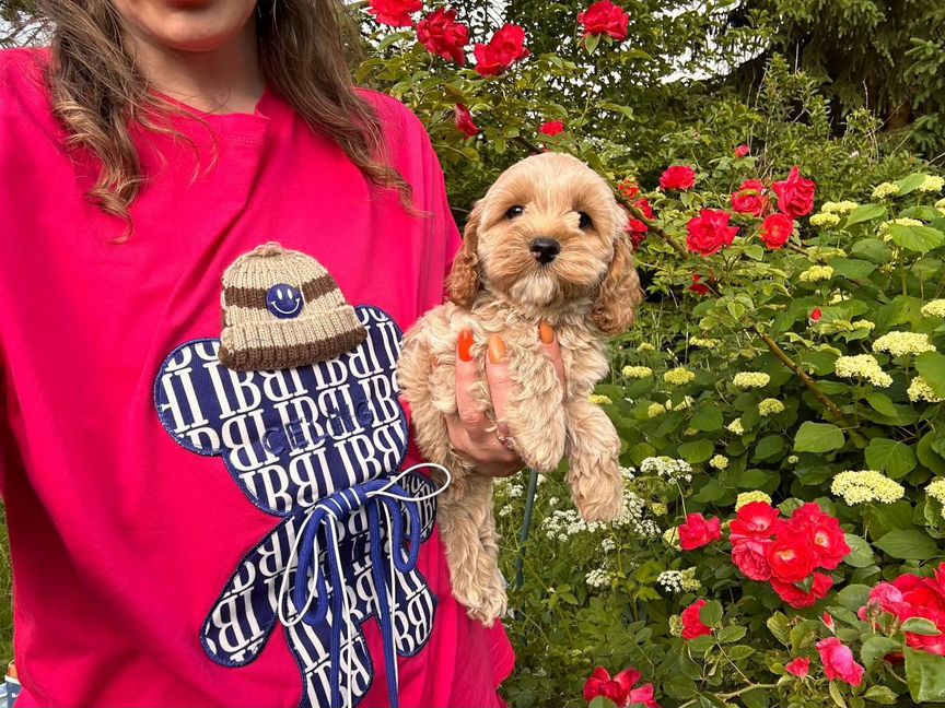 Мальчик Кокапу