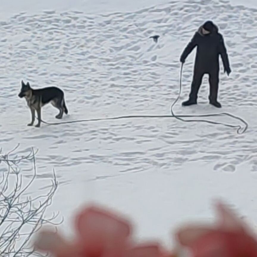 Помощник