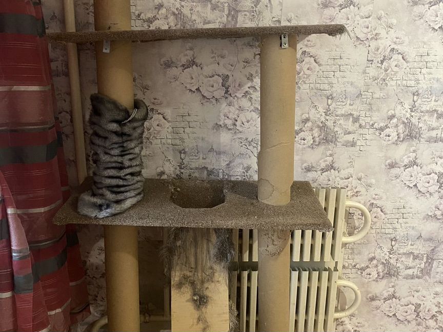 Домик когтеточка бу