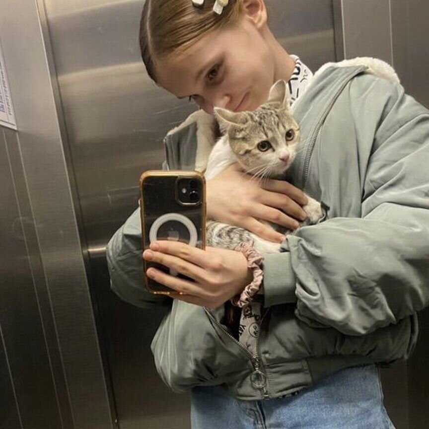 Котёнок в добрые руки