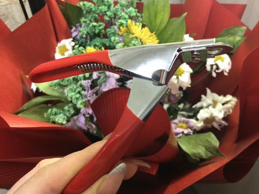 Когтеточка для кошек