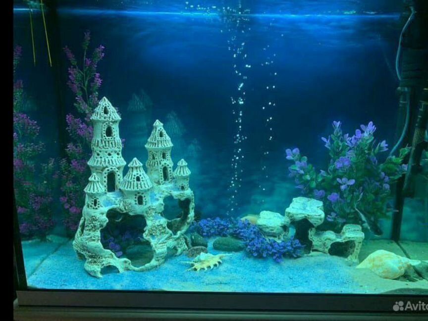 Аквариум 210