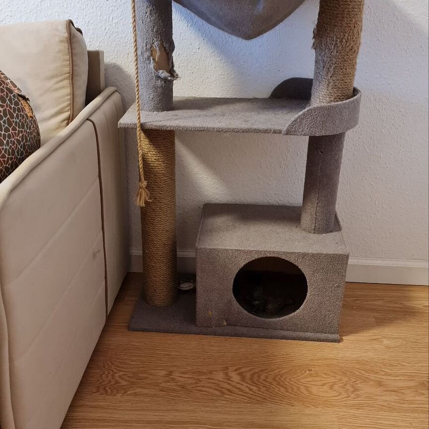 Когтеточка домик для кошки бу