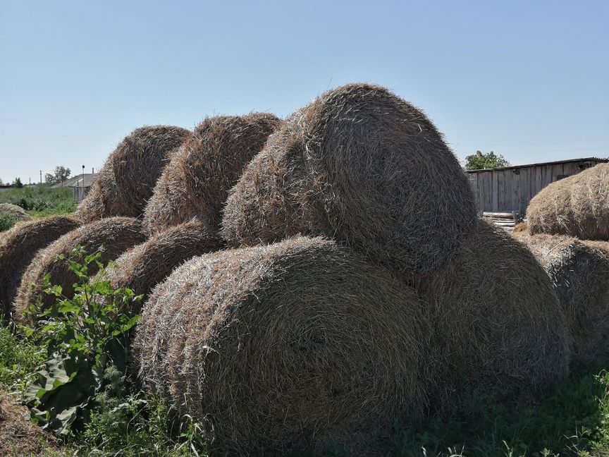 Солома в рулонах
