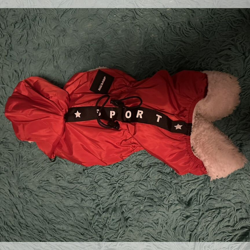 Одежда для собак